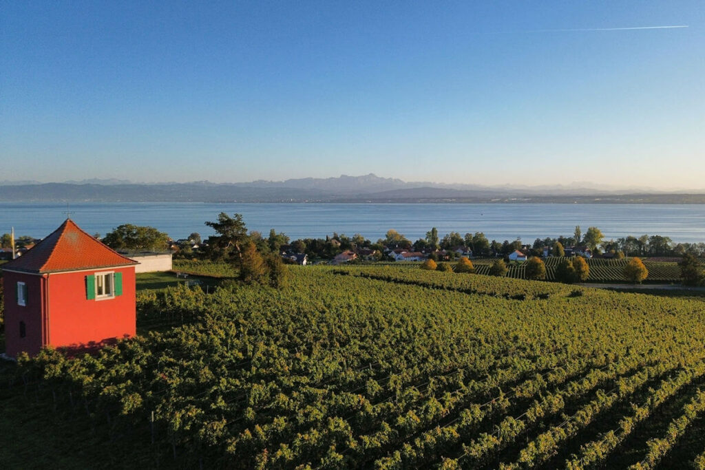 Ferien auf dem Winzerhof am Bodensee